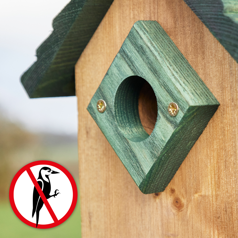 Fuglekasse i massivt træ grøn-brun · e-home