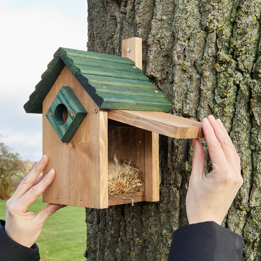 Fuglekasse i massivt træ grøn-brun · e-home